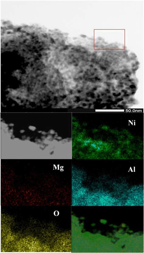 Stem Edx Mapping Of The Fresh Ni Mgγ Al2o3 Catalyst Download Scientific Diagram
