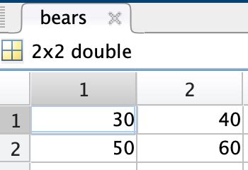 Numeric Arrays Muddling Through Medical Imaging