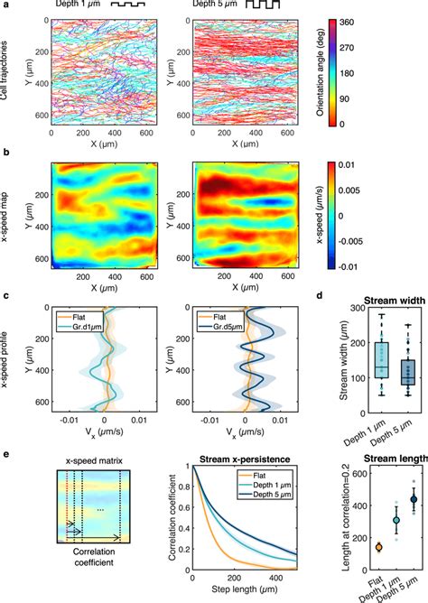 The Spatial Features Of The Streams Are Modulated By The Groove Depth A Download Scientific