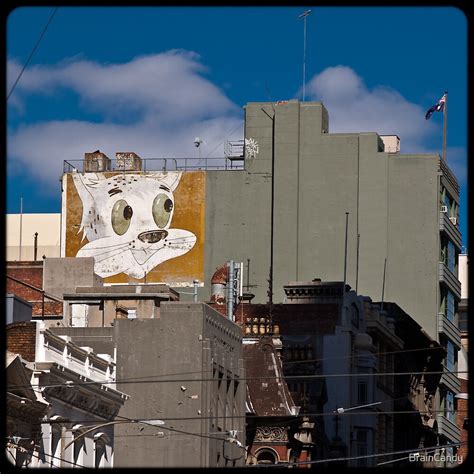 Prettiest Pussy In Town By Braincandy Redbubble