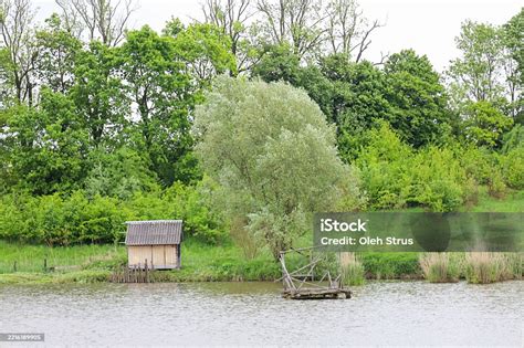 녹색 초목으로 둘러싸인 강둑의 목조 건축물이 있는 고요한 풍경은 조화와 자연의 아름다움을 자아냅니다 이 구성은 차분하고 자연스러운 배경이 필요한 디자인 및 예술적 프로젝트에