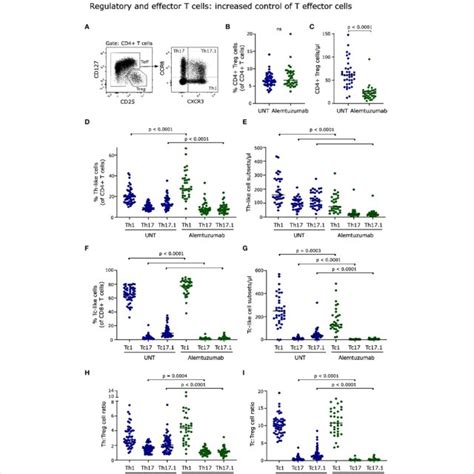 Regulatory And Effector T Cells A Flow Cytometry Dot Plot Example Of Download Scientific