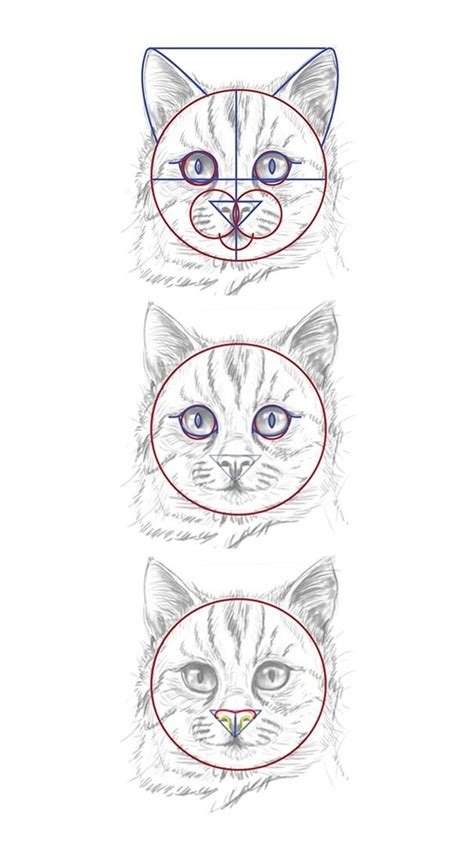 How To Draw A Cat Face Step By Step Tutorial