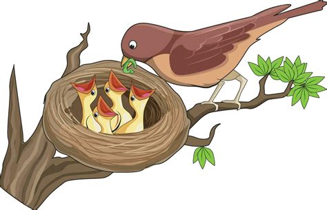 Lindo Nido De Pájaro Clipart Lindo Clip Art De Nido De Primavera