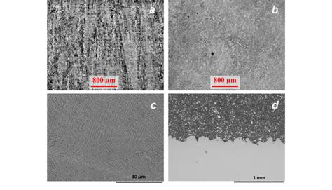 A Parallel Section B Orthogonal Section C Detailed Lamellar Download Scientific Diagram