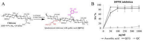 Synthesis Of Selenium Nanoparticles Modified By Quaternary Chitosan Covalently Bonded With