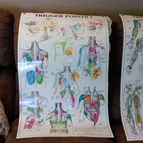 Wall Decor Trigger Point Wall Chart Set Poshmark