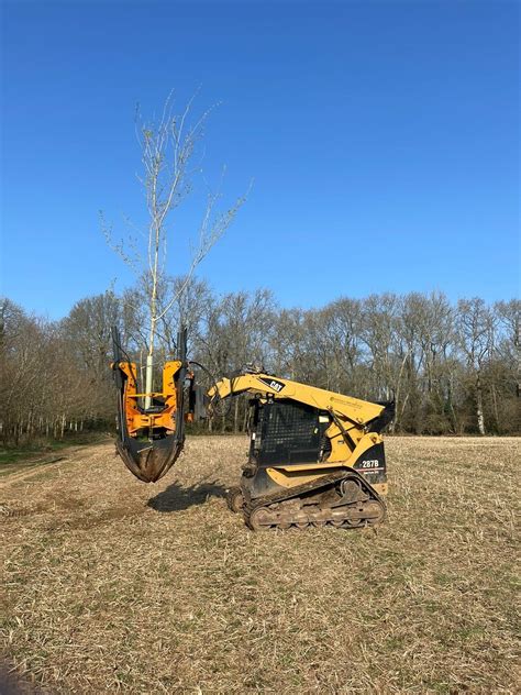 Tree Relocation — Heritage Tree Services Ltd