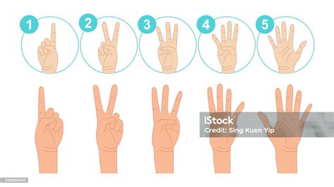 Human Hands Expressing Numbers 1 2 3 4 And 5 Fingers Expressing Count From One To Five Counting