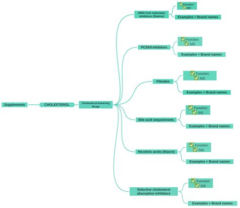 Cholesterol Coggle Diagram