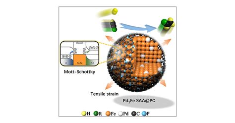 Lattice Strain And Mottschottky Effect Of The Charge Asymmetry Pd1fe