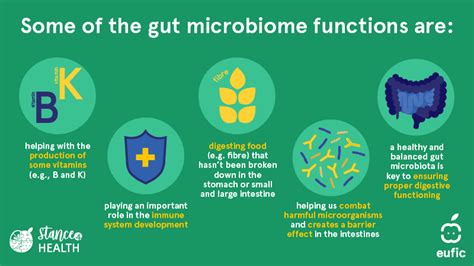 Shaping The Gut Microbiome Through Personalised Nutrition Eufic