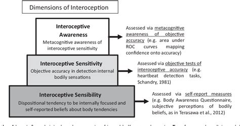 Figure 1 From Interoception Emotion And Brain New Insights Link
