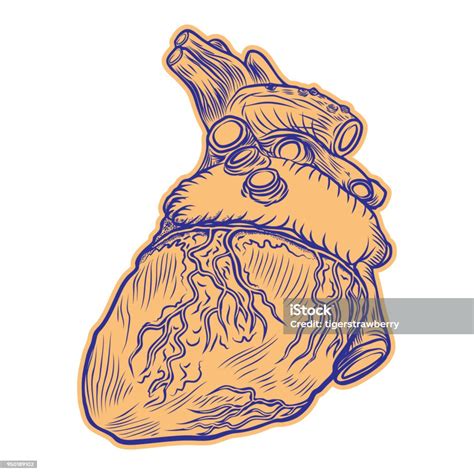 현실적인 인간의 마음 그리기입니다 문신 예술 발렌타인 데이 대 한 일 디자인 해 부 심장 요소 육체 문신 개념입니다 T 셔츠에