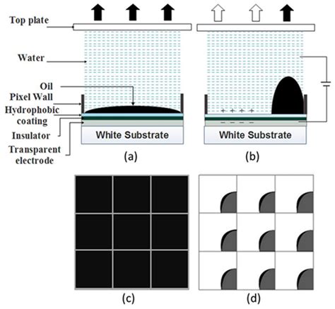 A Low Cost Drive And Detection Scheme For Electrowetting Display