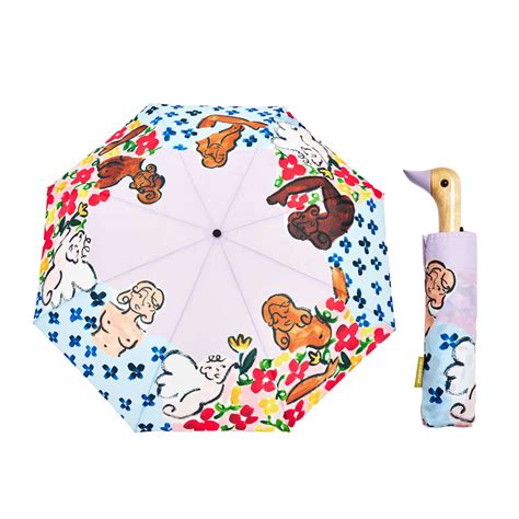 Regenschirm Duckhead Kwirl