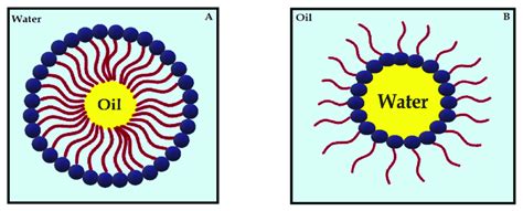 Schematic Diagram Of Oil In Water Nanoemulsion A And Water In Oil