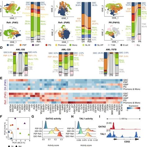 Longitudinal Scrna Seq Analyses For The Identification Of Cellular And Download Scientific