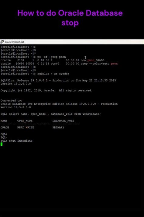 How To Stop Oracle Database Databaseconcepts Oracledatabasetutorial