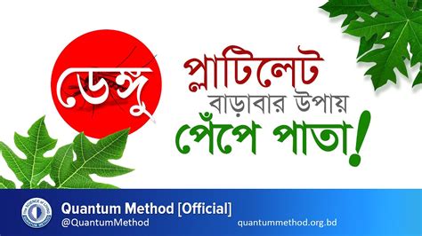 ডেঙ্গু রোগের লক্ষণ কী কী ডেঙ্গু জ্বরের লক্ষণ ও চিকিৎসা ডেঙ্গু জ্বর হলে করণীয় ডেঙ্গু