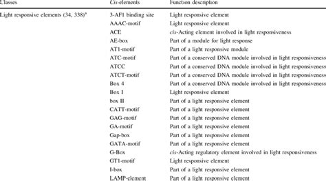 Function Descriptions Of All Identified Cis Regulatory Elements Download Table