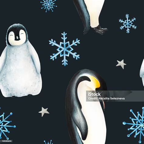 수채화 겨울 매끄러운 패턴 그림 고립된 눈송이 아래 킹 펭귄의 그림 손으로 그림 현실적인 북극과 남극 해양 포유류 디자이너 장식