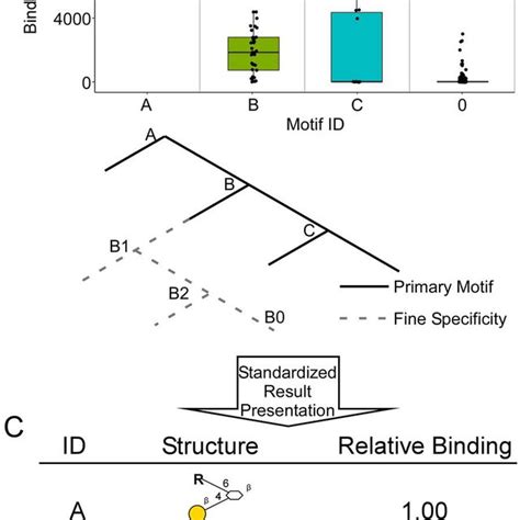 Standardized Analysis And Output A Motiffinder Analyzes Glycan Array