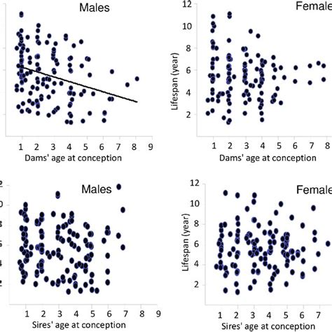 Relationship Between Offspring Longevity In Males Left Panel And Download Scientific Diagram