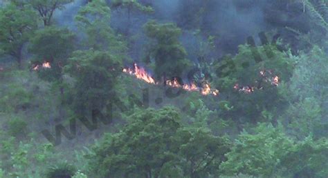 මීගහකිවුල රක්ෂිතයක් ගිනි ගනී Ada Online