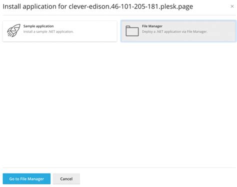 Net Application Hosting In Plesk Plesk