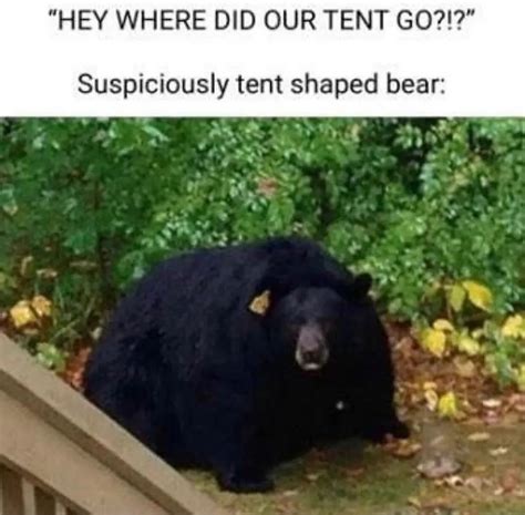 Thats My Shape Too R Gaybroteens