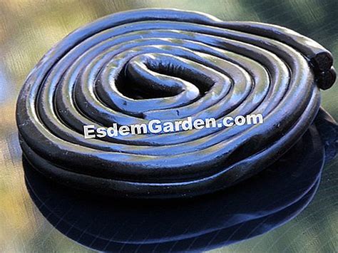 Сладкарски камък лекарствени свойства и приложения 🌿 Информация За Градинарство И Озеленяване