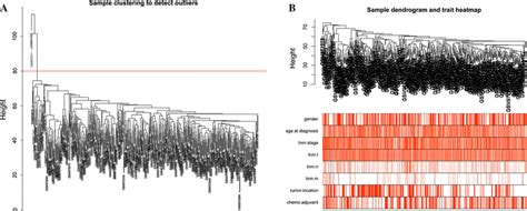 sample clustering to detect outliers in the training set of gse39582 a