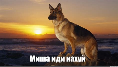 Комикс мем Миша иди нахуй Комиксы Meme