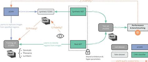 Overview Of The Privacy Gan Pgan Model Workflow To Share Synthetic Download Scientific