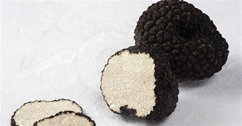 3대 진미 송로버섯 30년 전 중국선 돼지사료였다