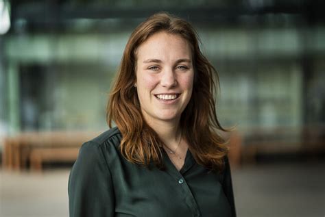 Ultrasound Based Rupture Risk Prediction Of Abdominal Aortic Aneurysms And The Role Of The