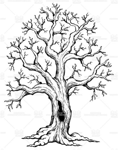 White Wsahed Base Of Tree Trunks Clipart Clipground