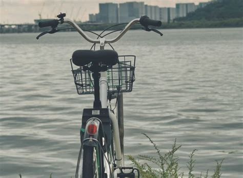 전국 공유자전거 서비스 5가지 이용 방법부터 요금까지 A To Z