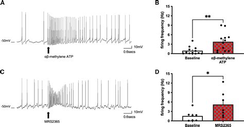 Extracellular Atp Neurotransmission And Nicotine Sex Specifically
