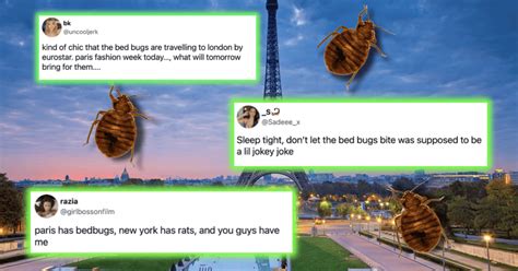 Stop Your Itching And Enjoy These Cursed Bed Bug Memes