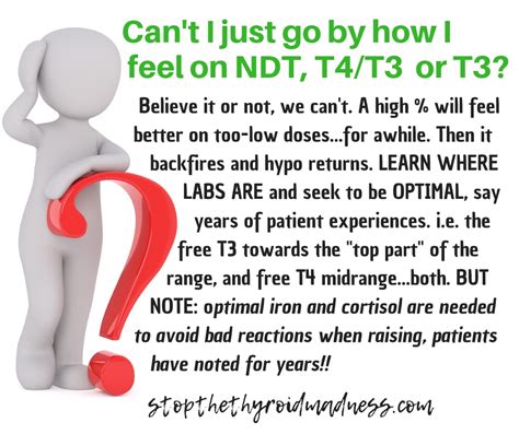 The Almighty Feedback Loop Stop The Thyroid Madness