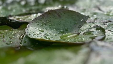 Прогноз погоди в Харкові на 28 травня 2023 року