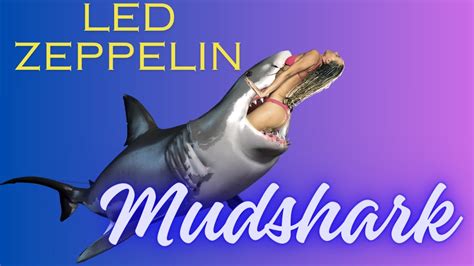 The Story Behind Led Zeppelins Mudshark Inciden Rock Facts Legend
