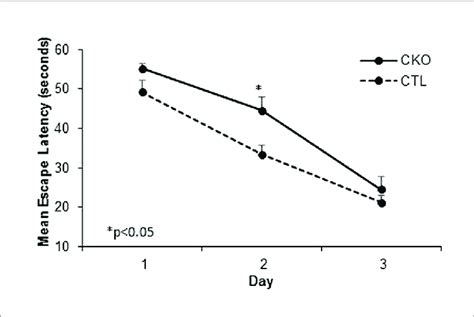 Results Of The Morris Water Maze Mwm Cumulative Escape Latency In Download Scientific