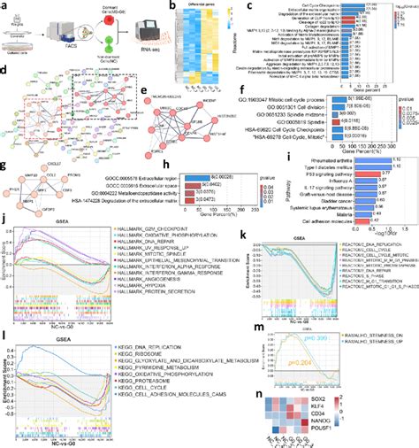 Transcriptomic Profiling Of Ms Induced Dormant Subpopulation A Download Scientific Diagram