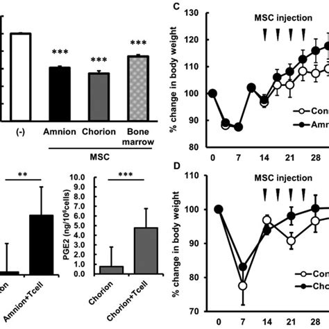 Immunosuppressive Property Of Amnion And Chorion Mscs A Inhibition Download Scientific