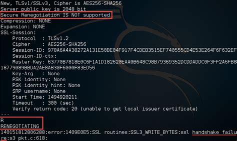 老喵汪汪 【弱點那些事】ssltls Renegotiation Ssltls會談重建