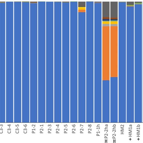 Bar Chart Of The Relative Number Of Reads Of Different Bacterial Download Scientific Diagram