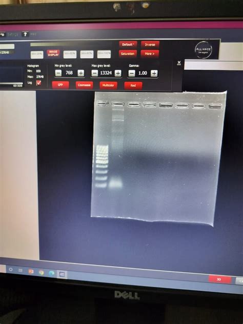 3827 Questions With Answers In PRIMER Scientific Method